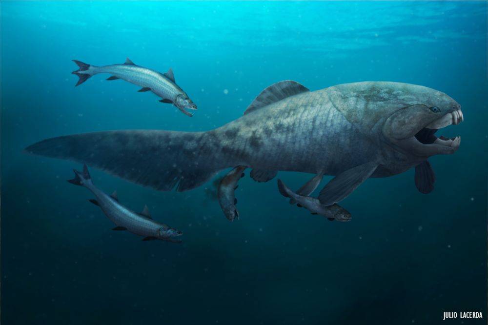 Lebih Tua dari Dinosaurus, Ikan ini Ditemukan di Perairan Indonesia