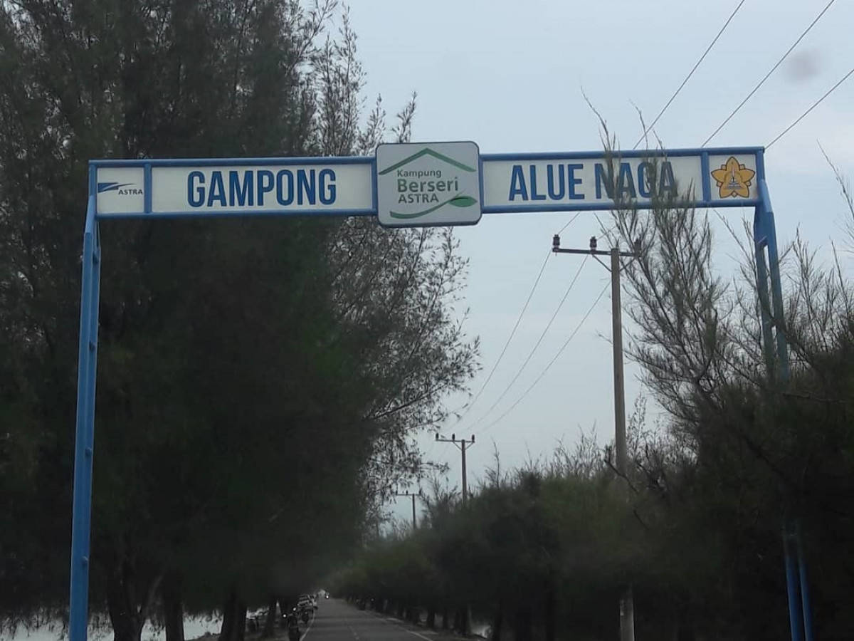 Kisah Inspiratif Ichsan Rusydi menjadi Pelopor Rumah Tiram di Desa Alue ...