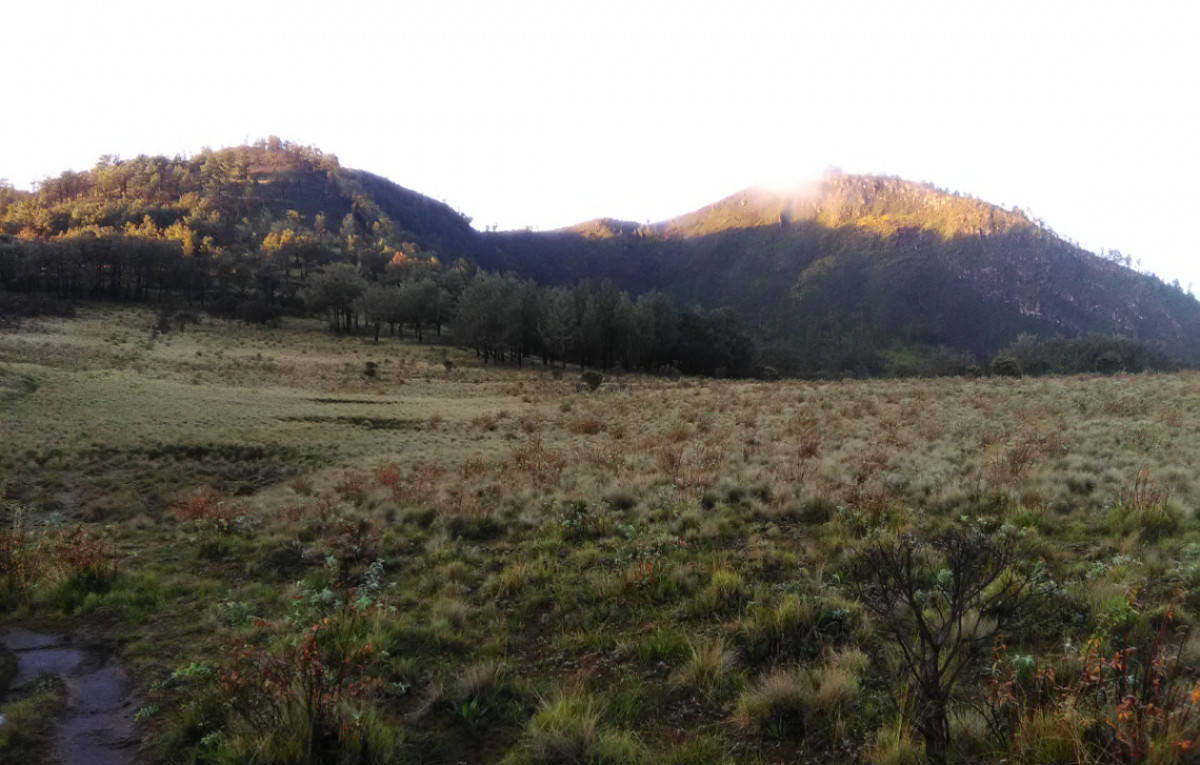 Mitos Pasar Setan di Gunung yang Menjadi Tempat Jual Beli Makhluk Gaib
