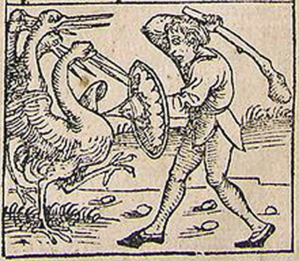 Giant Stork Living With the Hobbits