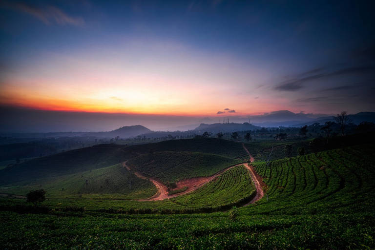 Bukit Pamoyanan, Negeri di Atas Awan Wisata Primadona Subang