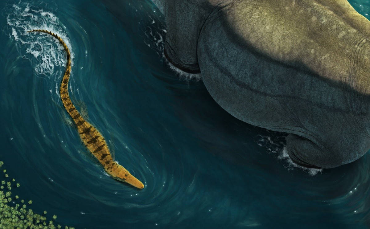 Inilah 5 Hewan Purba yang Masih Hidup di Indonesia