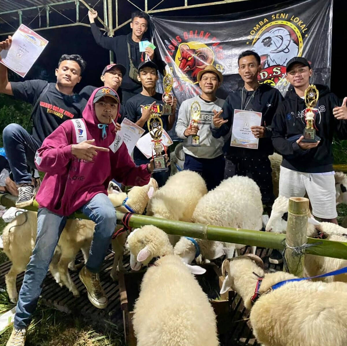 Benih-benih Kebangkitan Ekonomi dari Kelesuan, Domba Seni Lokal Terus ...