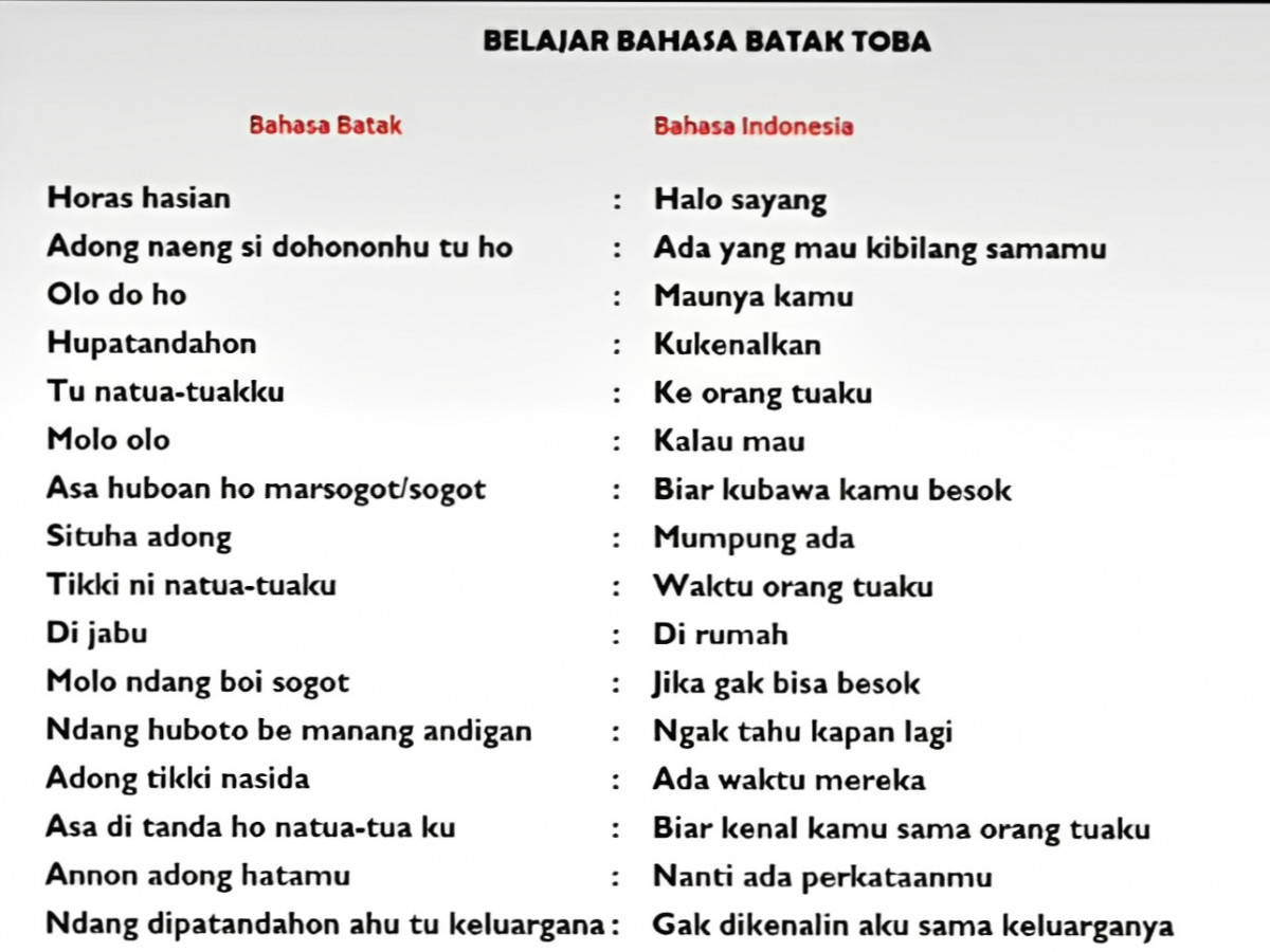 Revitalisasi Budaya Bahasa Batak Bagi Generasi 4.0 Melalui Media Tiktok