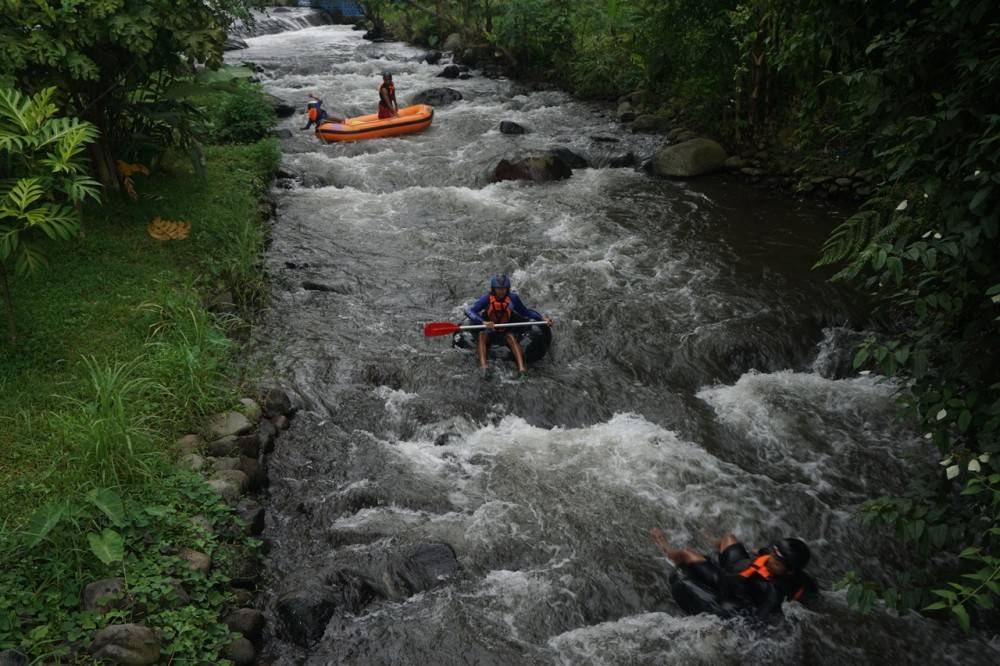 Kisah Pemburu Pakis yang kini Menjadi Pembibit pakis di Kaki Gunung Raung
