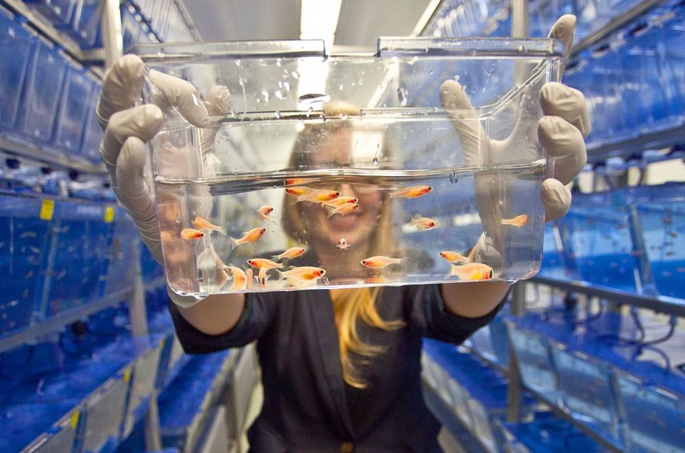 Indonesia Akan Bangun Dua Laboratorium Kesehatan Ikan Kelas Dunia