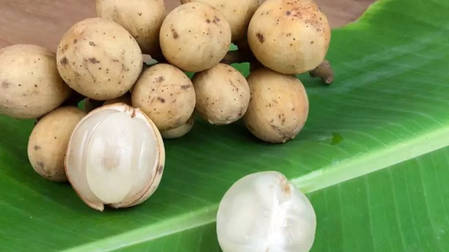 Mengenal Buah Langsat, Si Manis Mirip Duku yang Kaya Manfaat