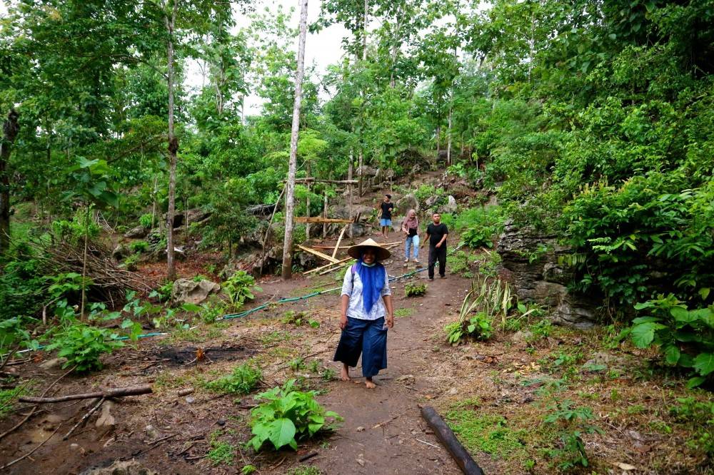 Hutan Tanaman Rakyat di Lombok, Dulu Kayu Sekarang Melirik Wisata