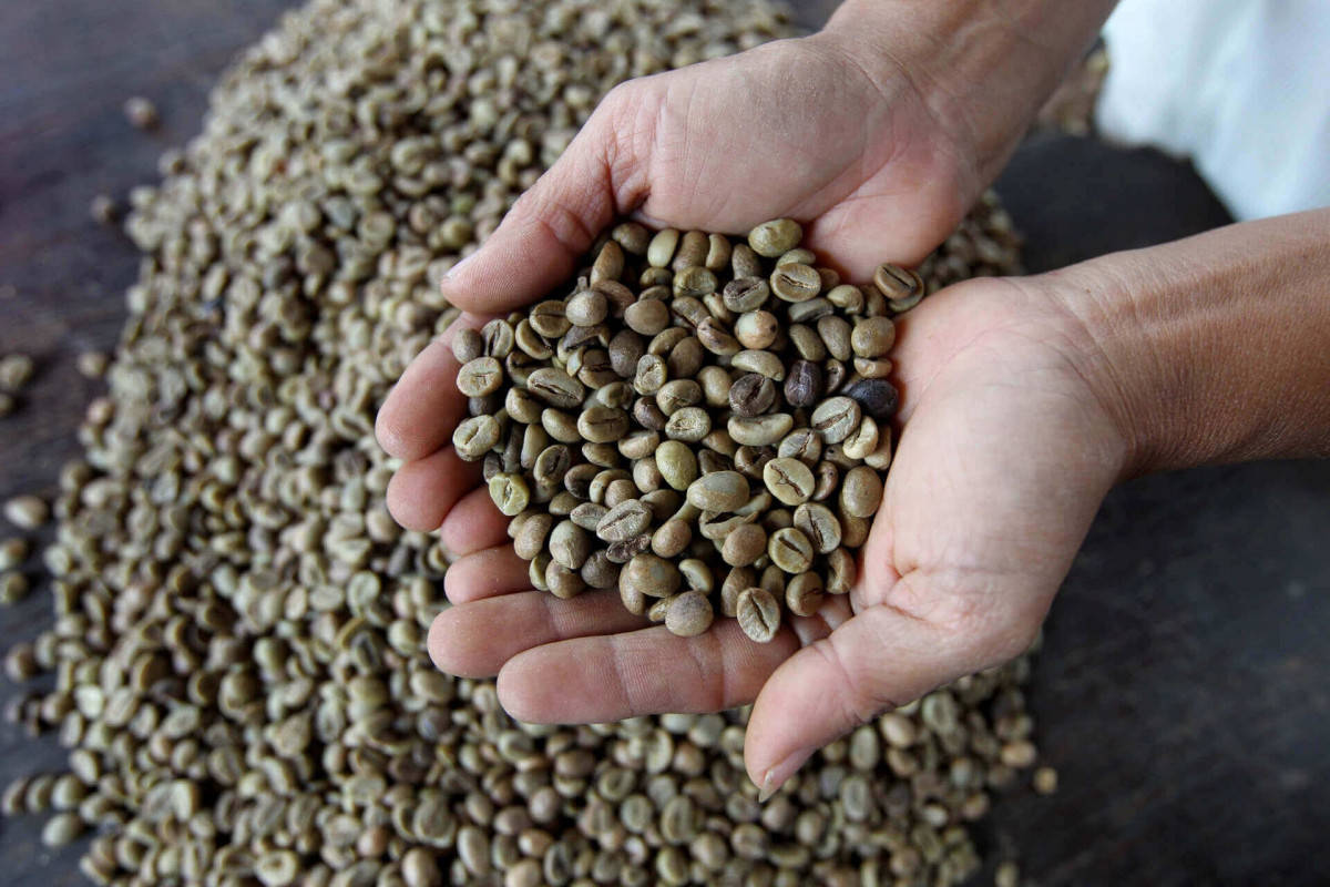 Java Preanger, Kopi Lokal Kelas Internasional