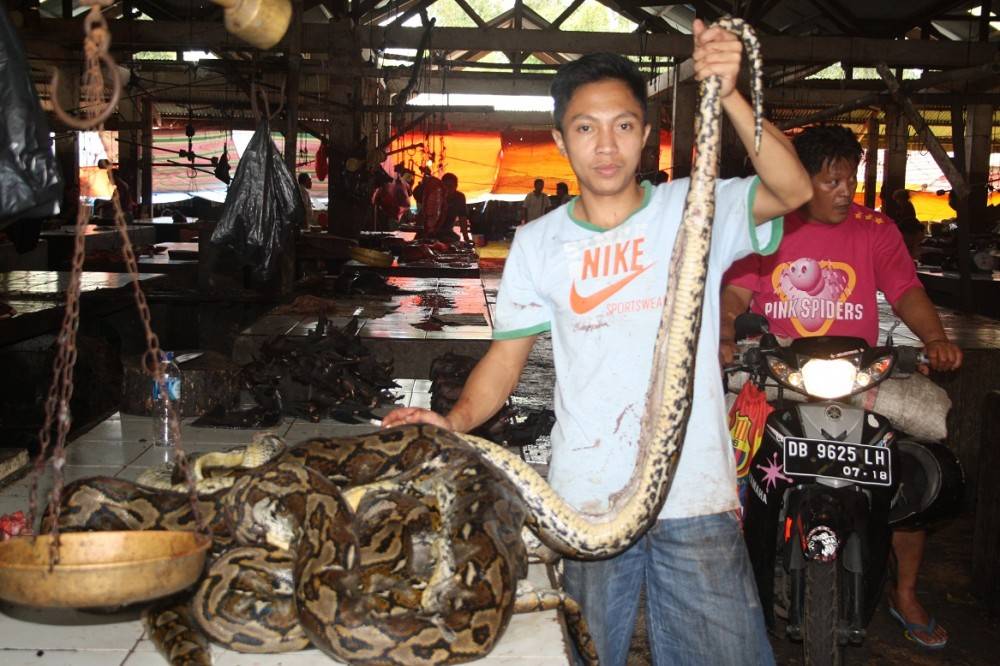 Pasar Tomohon, Pasar untuk Pengunjung Bernyali Besar