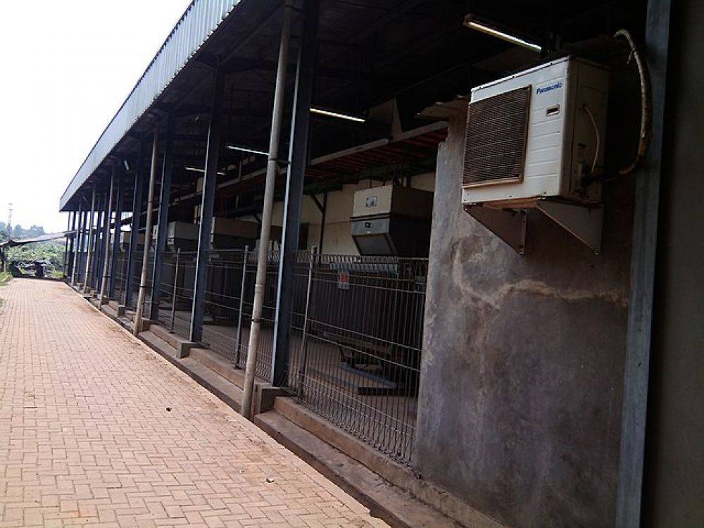 Pembangkit Listrik Tenaga Sampah (PLTSa)