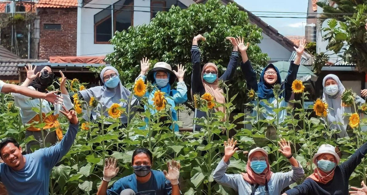 Seni Tani: Lahan Tidur Kota yang Terabaikan Menjadi Potensi Besar Untuk Pertanian Urban