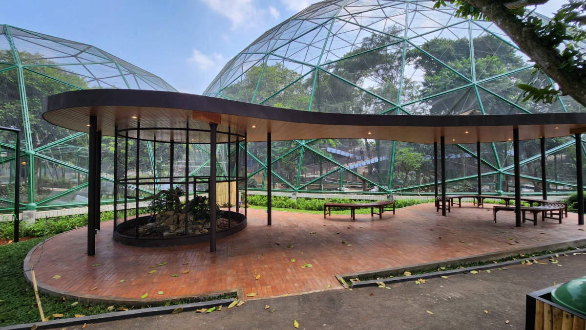 Taman Burung Jagat Satwa Nusantara: Rumah bagi Hewan Langka Indonesia
