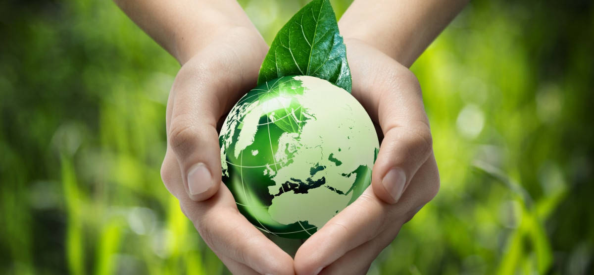 Yuk, Terapkan Gaya Hidup Go Green dengan 5 Cara Ini