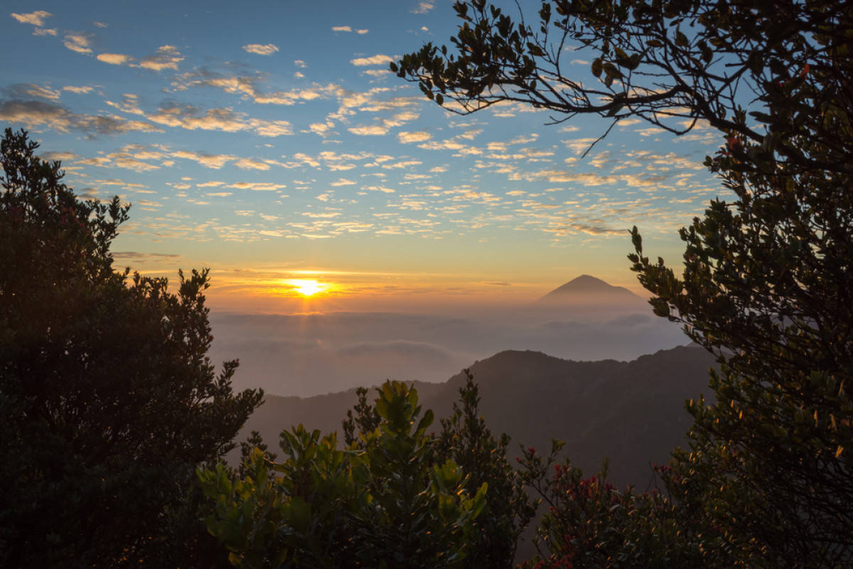 Daftar Gunung di Indonesia dengan Jalur Mudah dan Cocok untuk Pendaki ...
