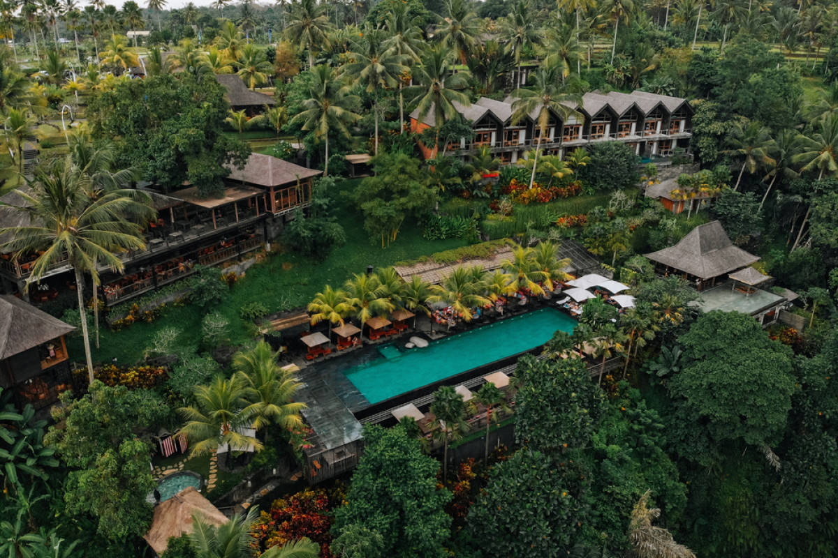 Menurut Peneliti, Inilah Jenis Hotel di Indonesia yang Menang Melawan ...
