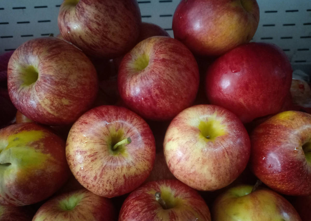 Asal-Usul Buah Apel yang Identik dengan Kota Malang