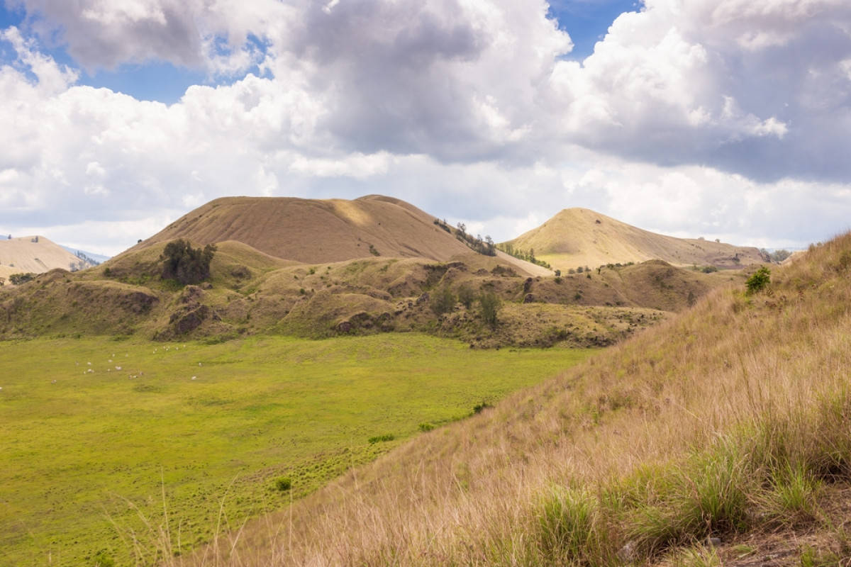 Kegiatan Ekowisata di Taman Nasional Rawa Aopa Watumohai