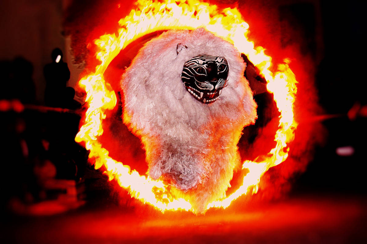 Ronteg Singo Ulung, Kisah Harimau Putih Jelmaan Kiai Sakti di Bondowoso