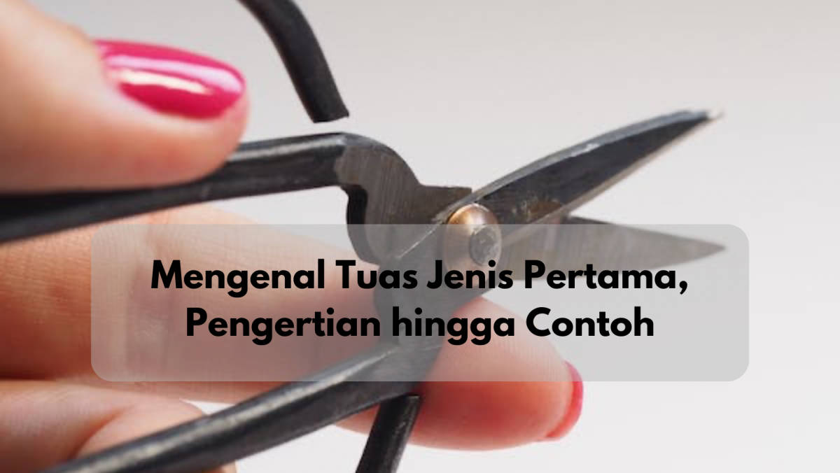 Mengenal Tuas Jenis Pertama, dari Pengertian Hingga Contohnya