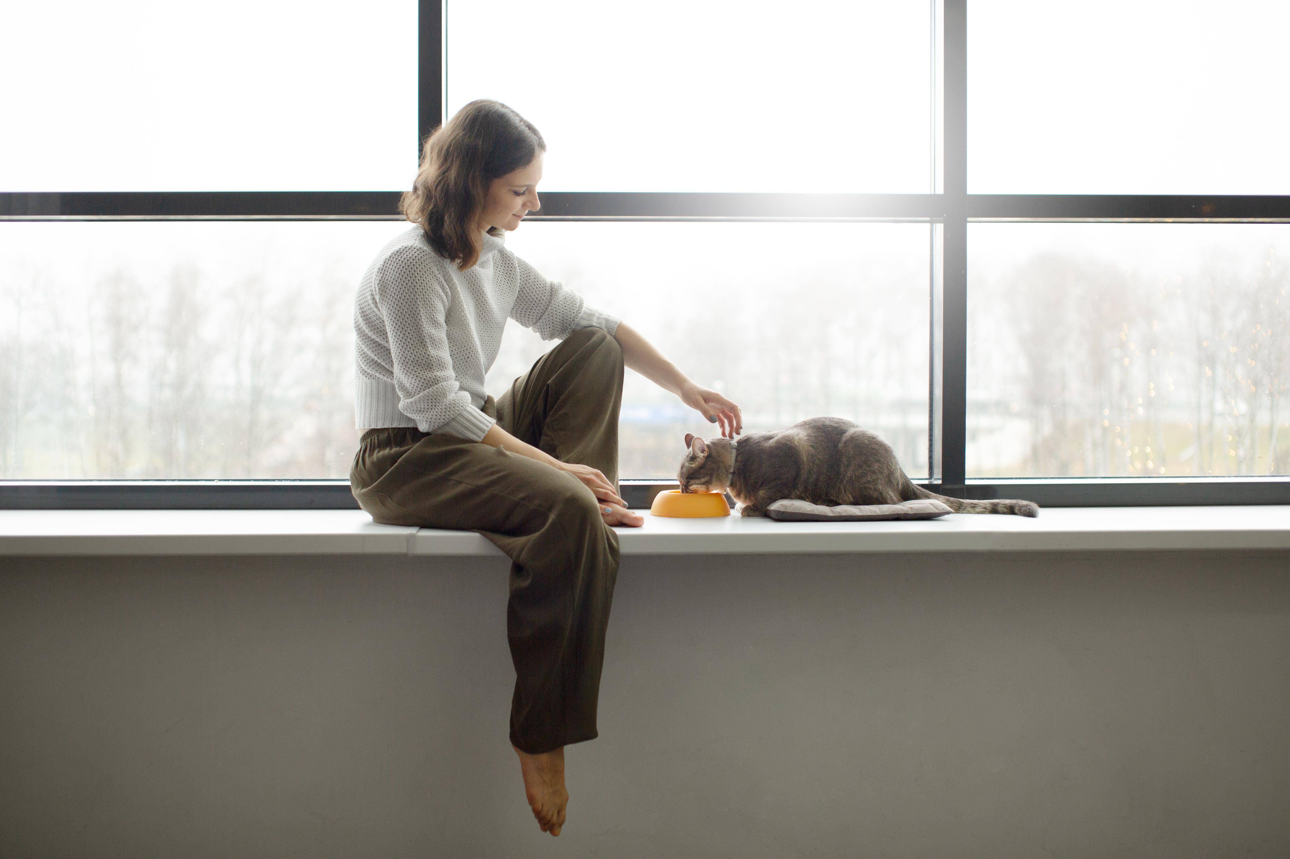 Tips Penting Pecinta Kucing untuk Memilih Aktivitas dan Snack agar ...