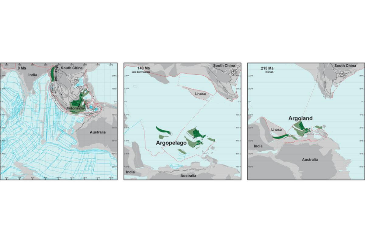 Argoland, Benua Hilang yang Menjawab Mengapa Keanekaragaman Hayati ...