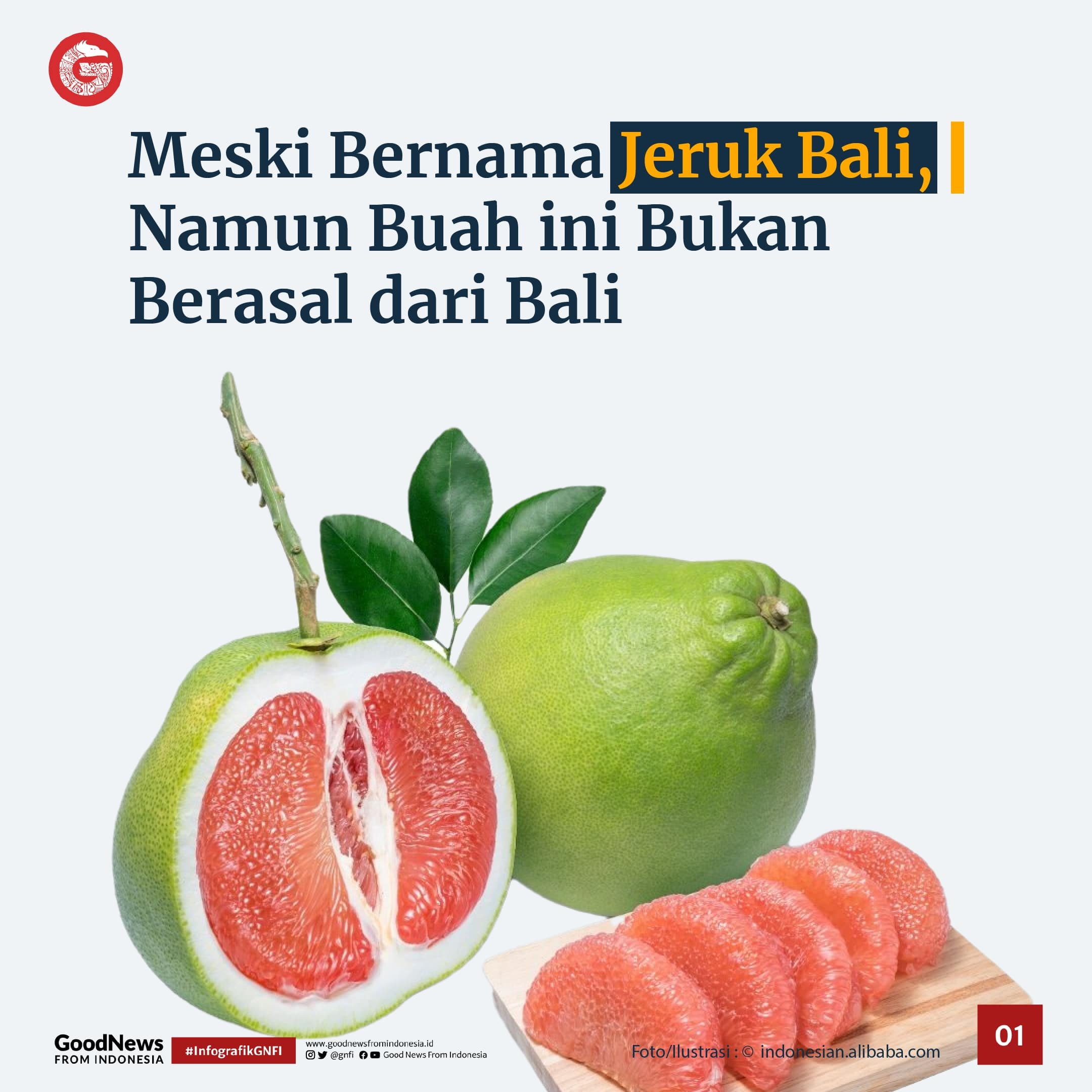 Jeruk Bali bukan dari Bali?
