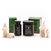 Home - Green Compass, Inc