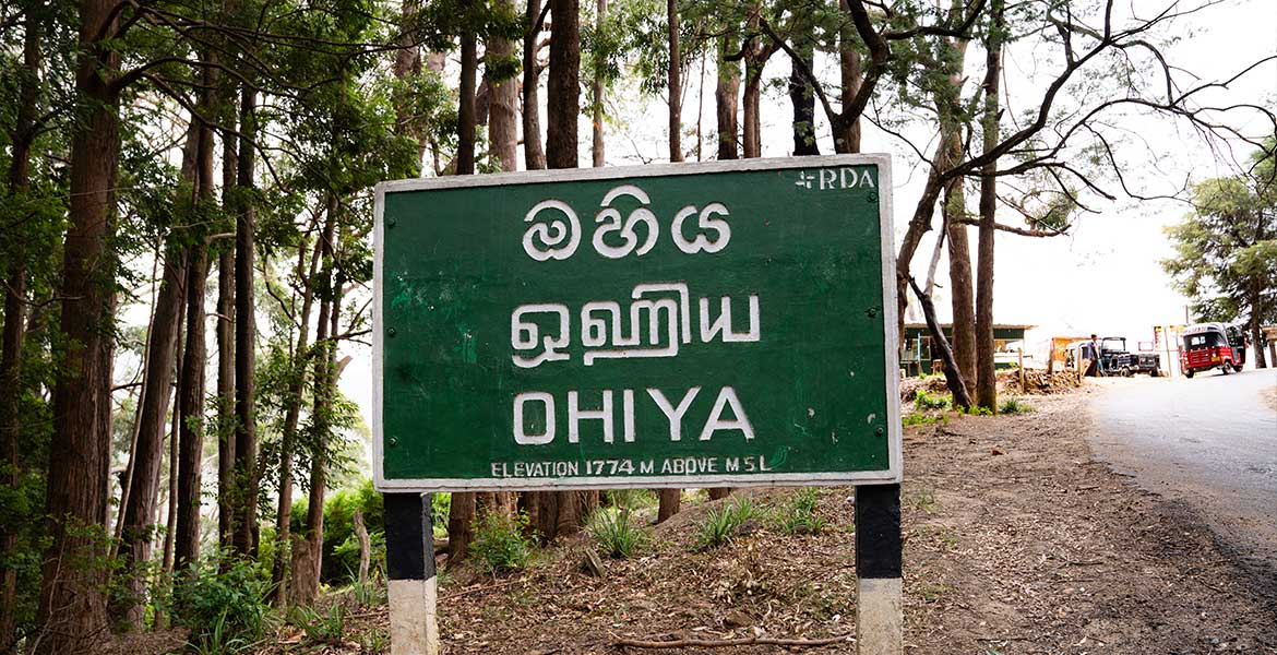 Near By Destination | Green Infinity Resort