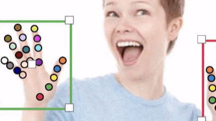 Landmark Annotation | Keypoint Annotation - Precise BPO Solution