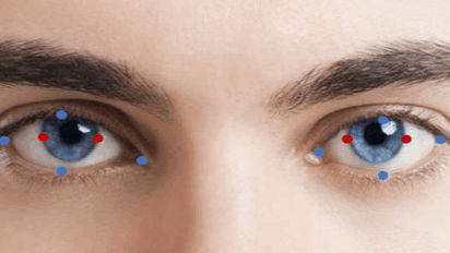 Landmark Annotation | Keypoint Annotation - Precise BPO Solution