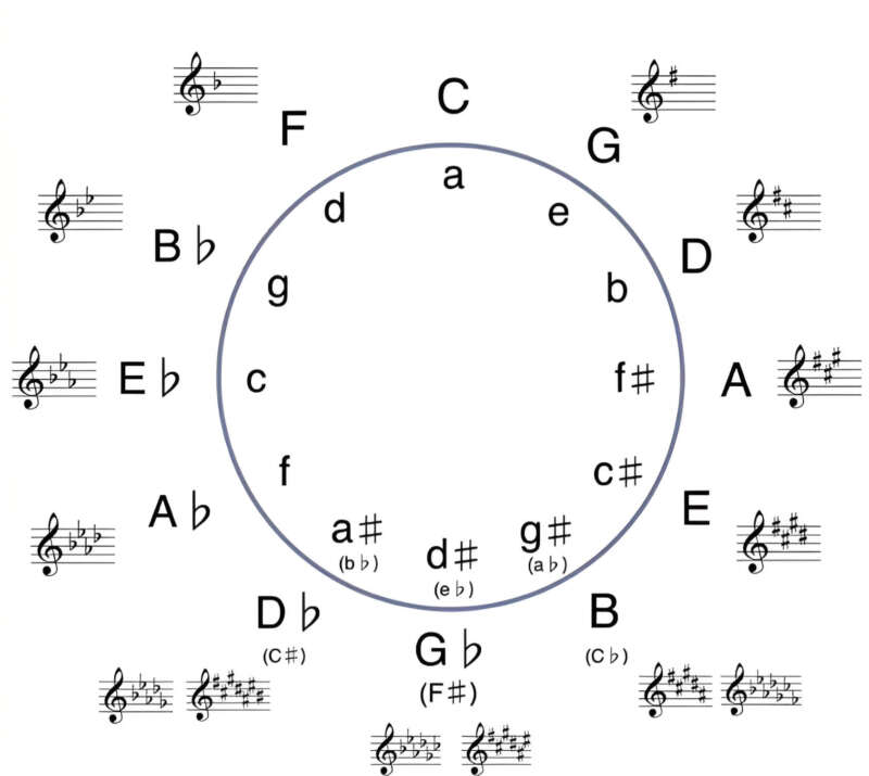 Circulo de quintas ¡Todo lo que debes saber!