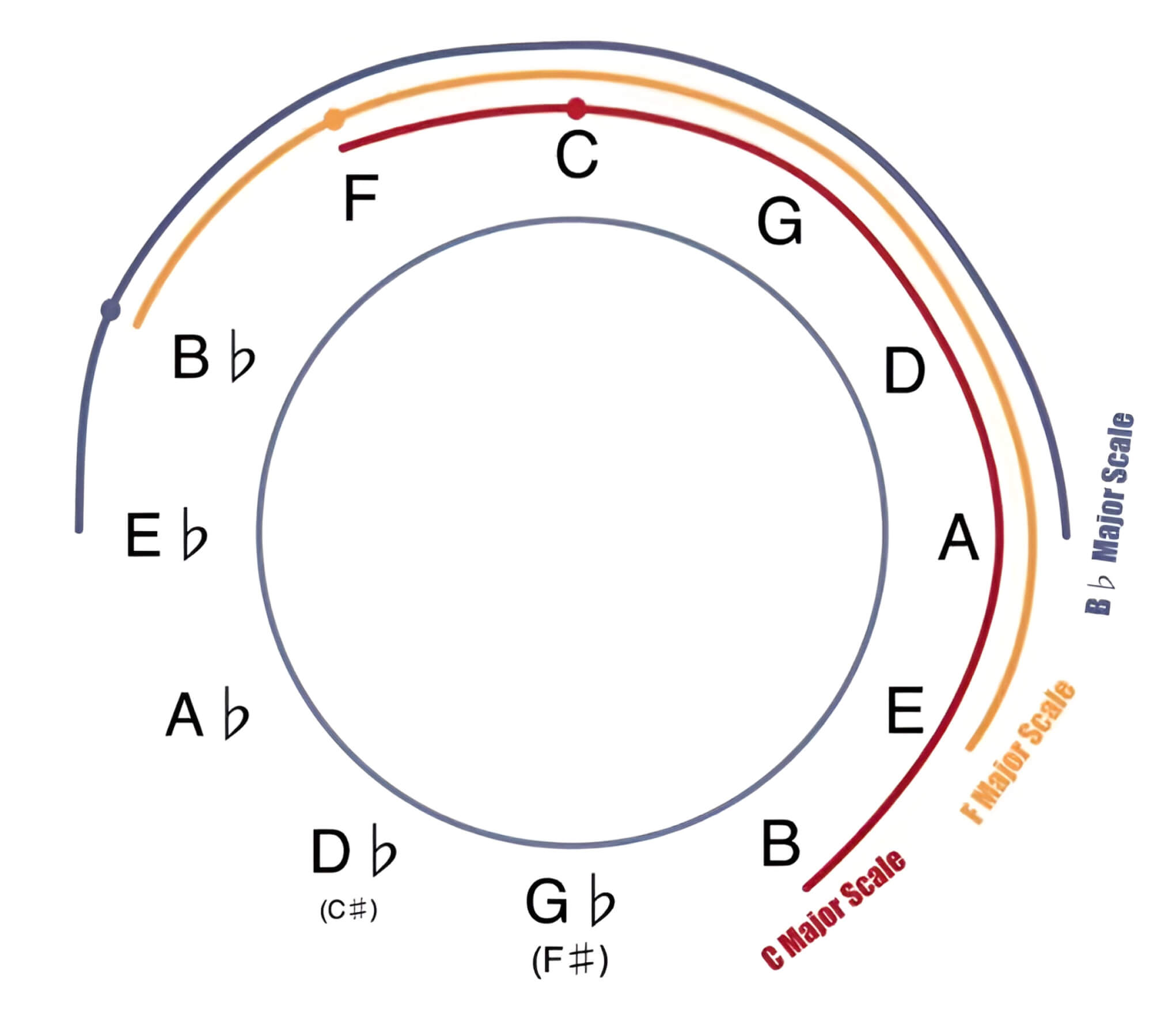 Circulo de quintas ¡Todo lo que debes saber!