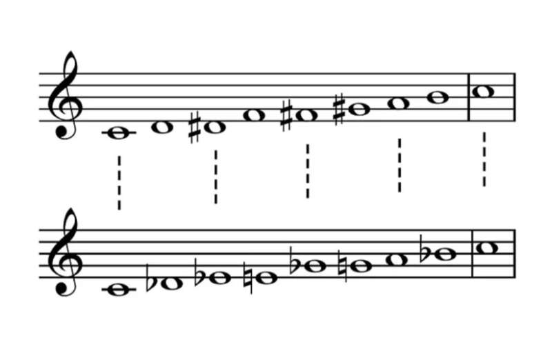 NOTAS MUSICALES: Todo lo que necesitas saber | Guitarboosters
