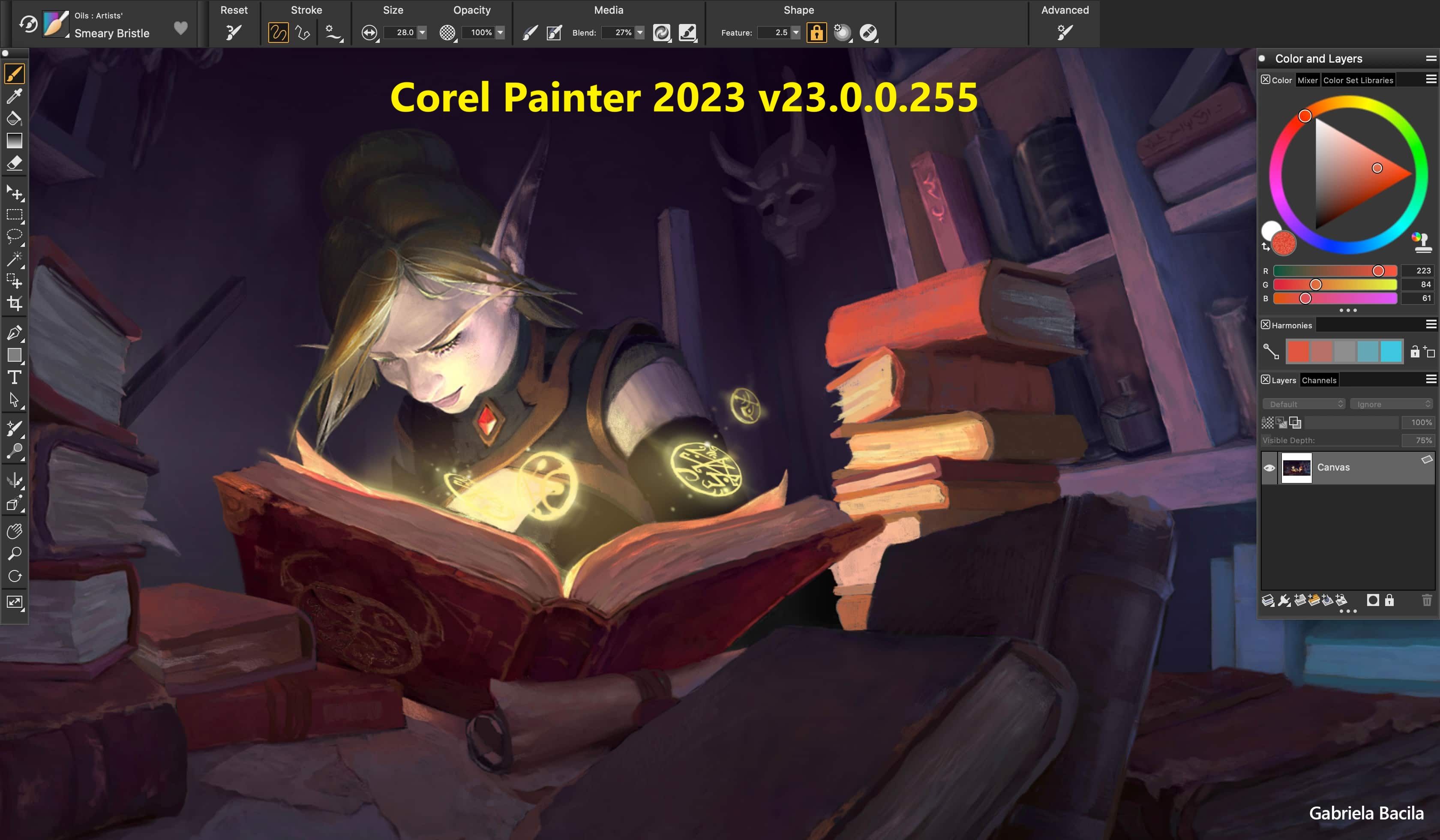 Creative design software