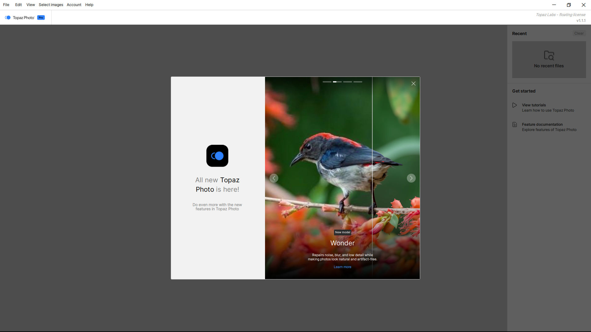 download Topaz Photo Pro 1.1.1 in Spain