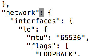 Elasticsearch Network Hosts