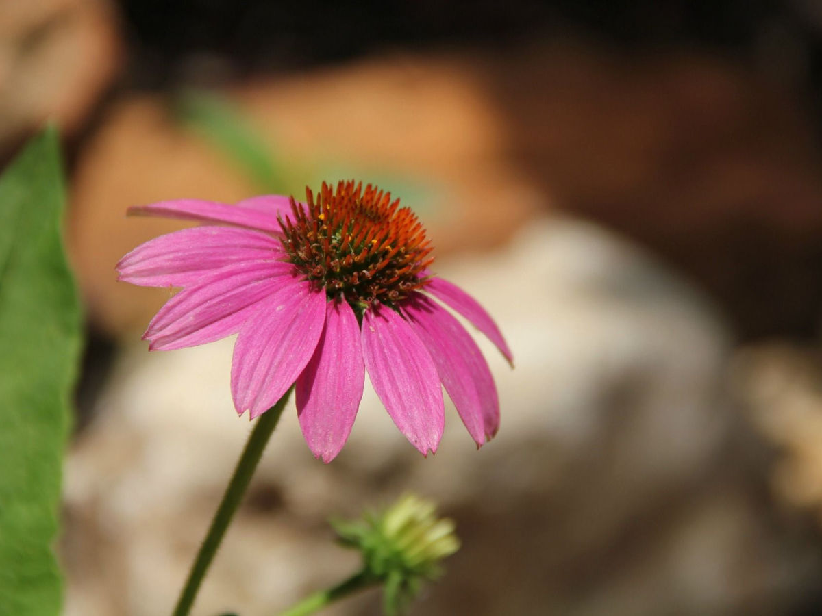 InSpec Basics: Day 8 - Regular Expressions