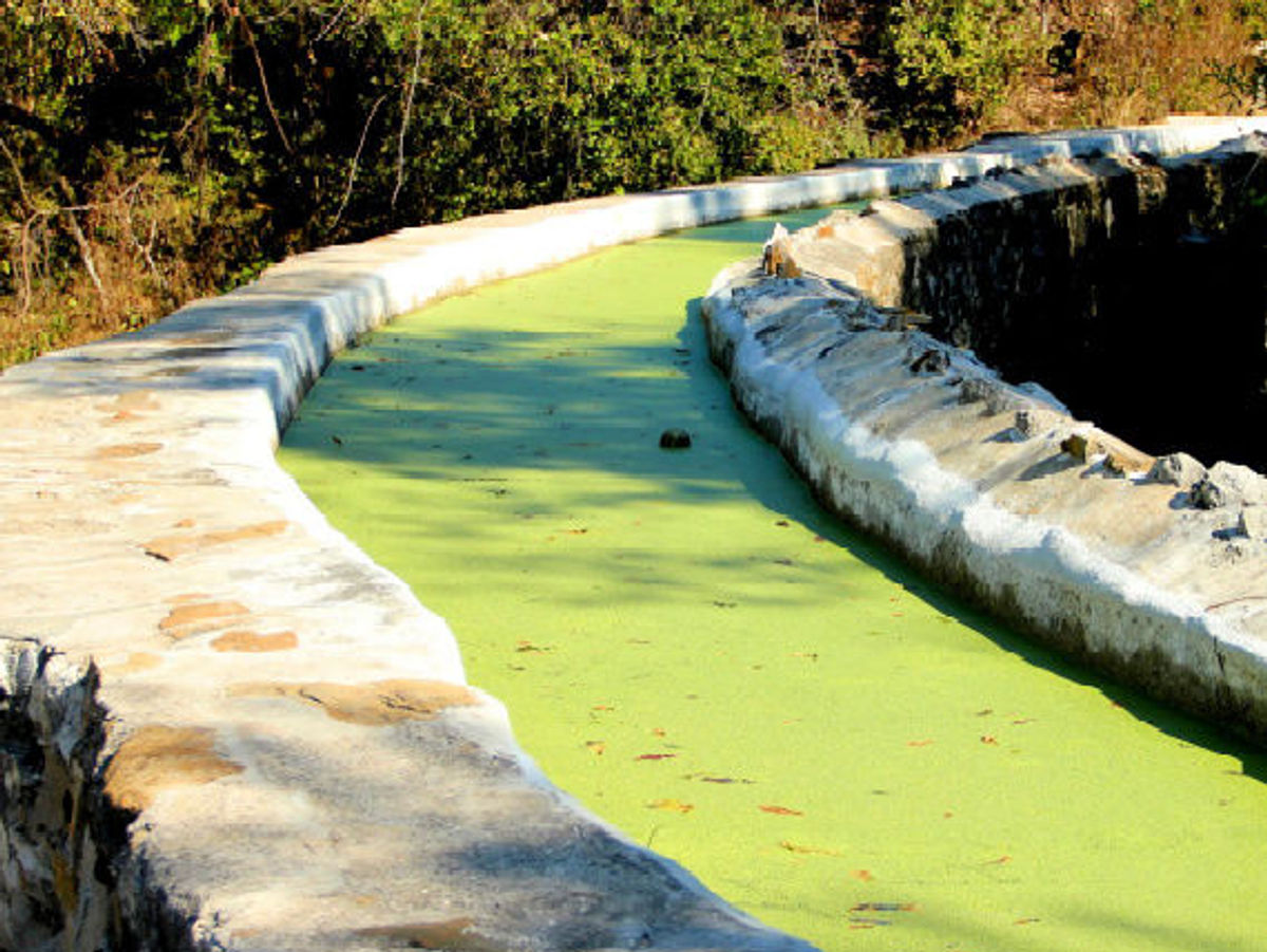 Initial Tracked Metrics for Kanban Adoption