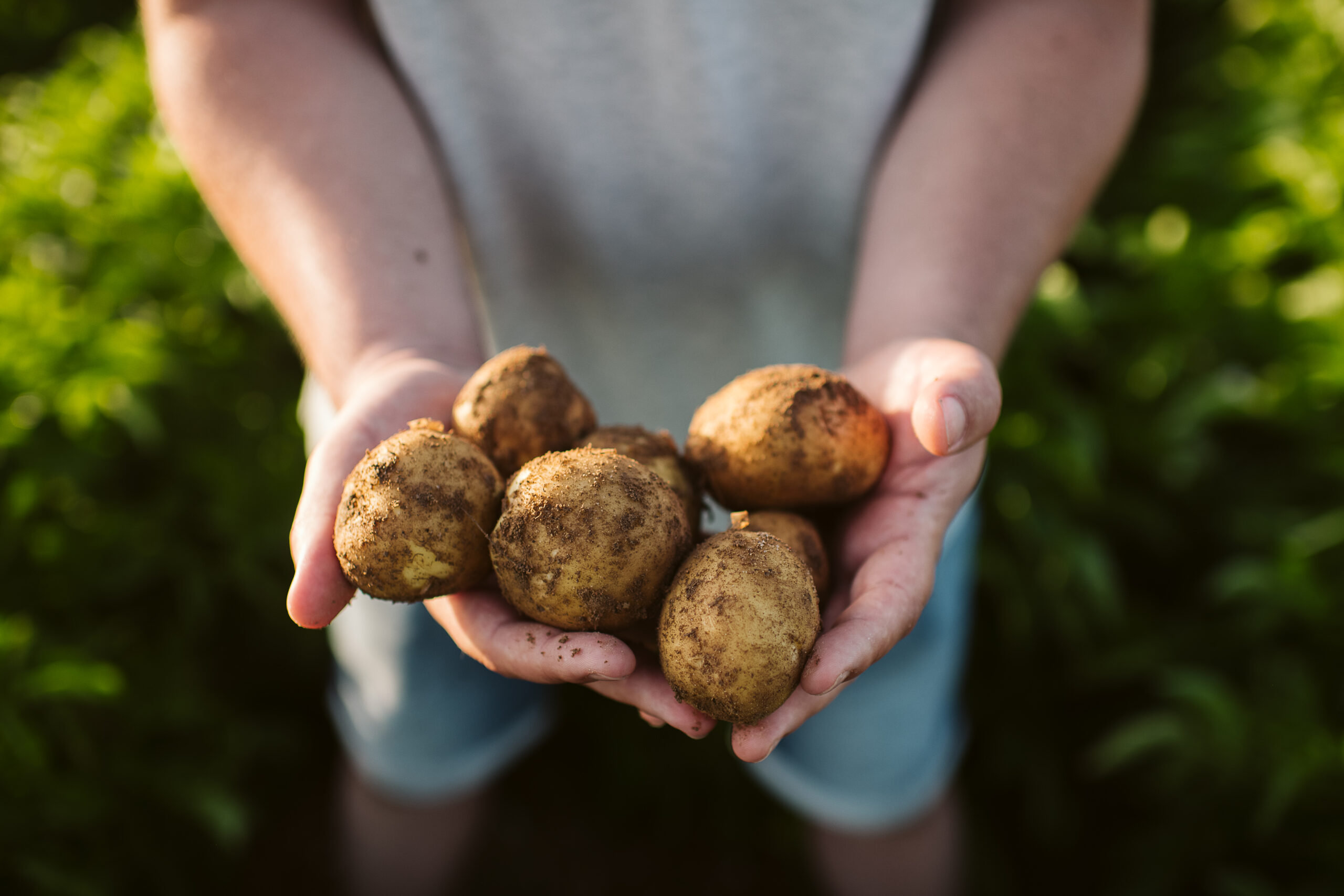 PepsiCo scales regenerative farming across 7 million acres ...