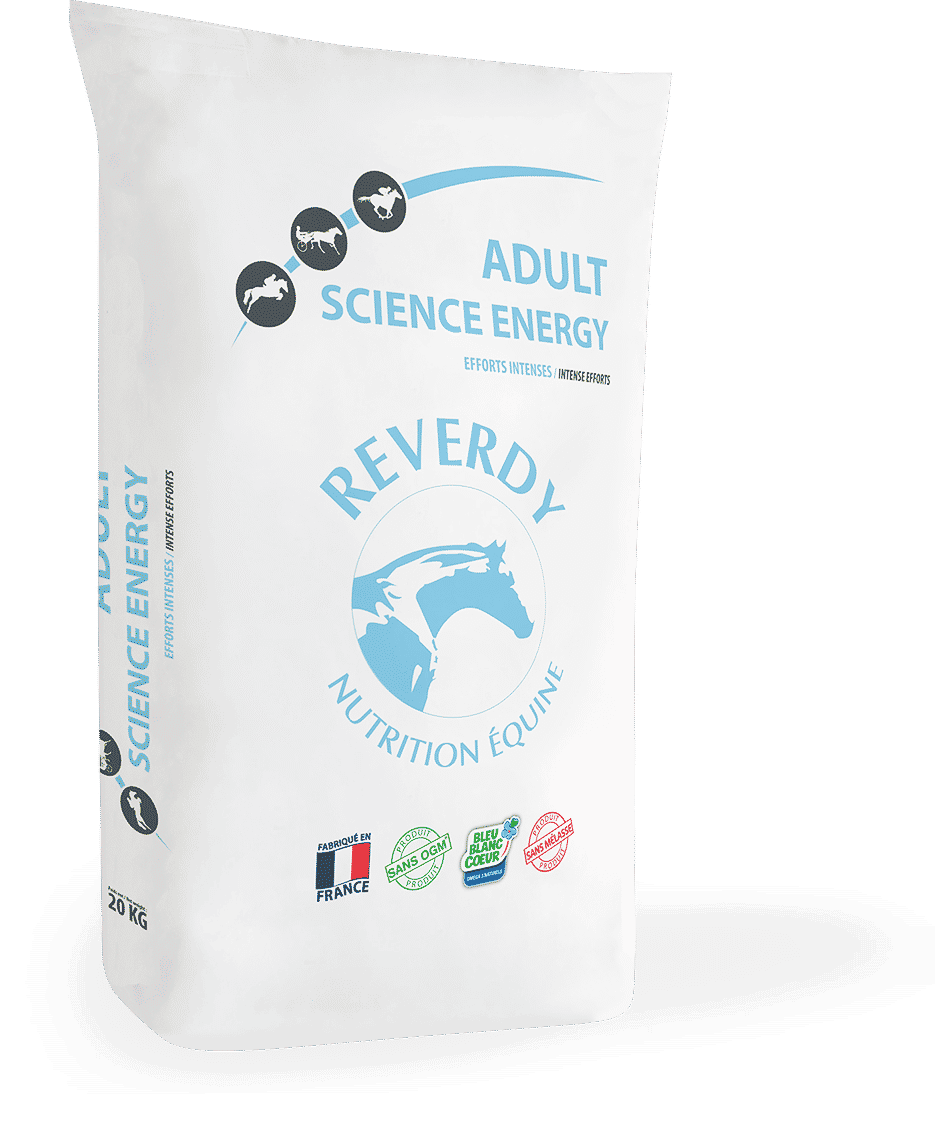 reverdy adult science energy - JMT Alimentation Animale