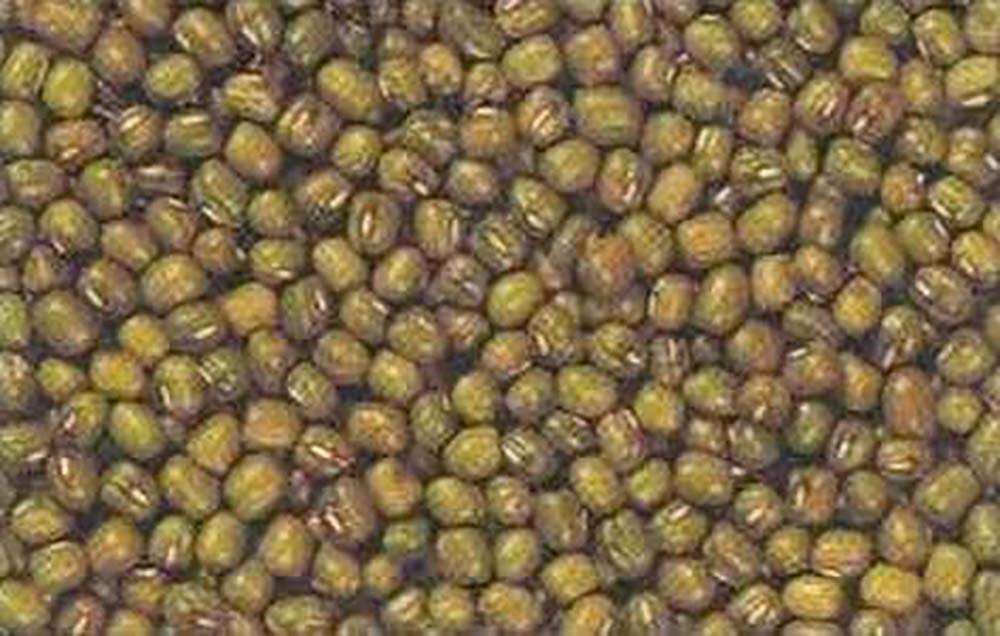 Soja vert - JMT Alimentation Animale