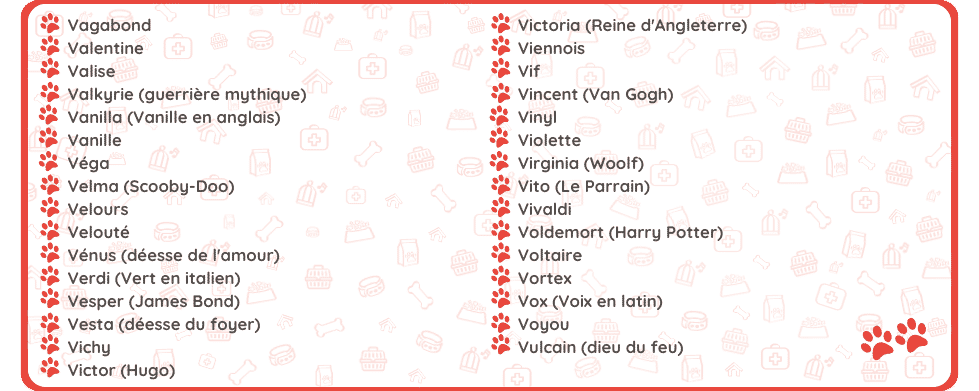 Nos idées de prénoms pour lapin - JMT Alimentation Animale