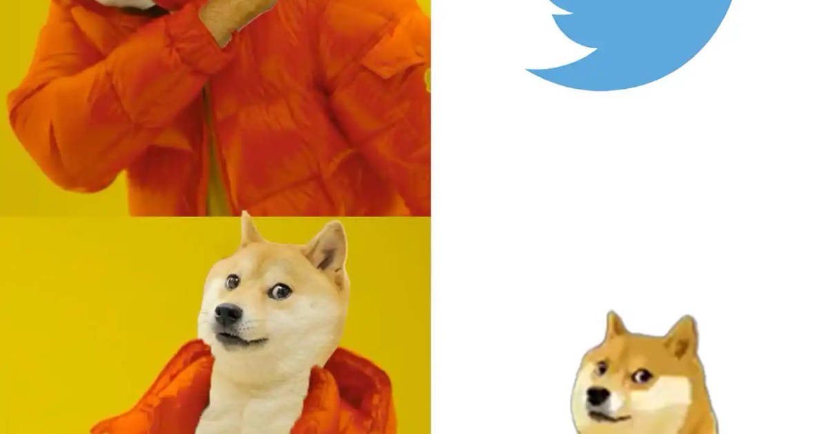 Elon Musk cambia el logo de Twitter por el perro del meme de la ...