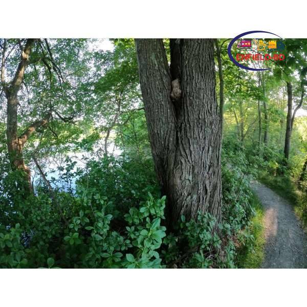 GoPro HERO 8 Black Action Camera Waterproof with Touch