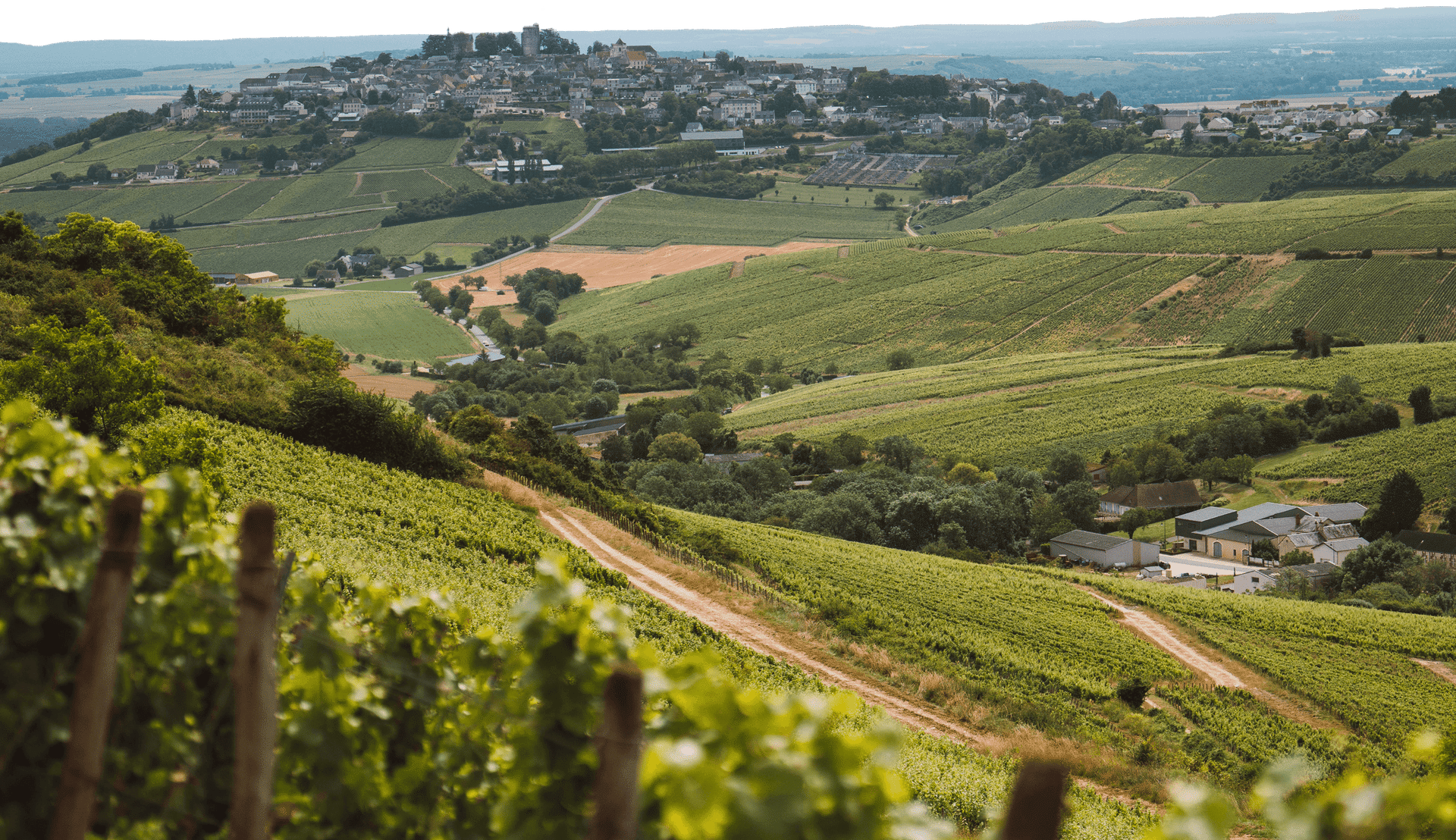 Our Sancerre Wines Hubert Brochard