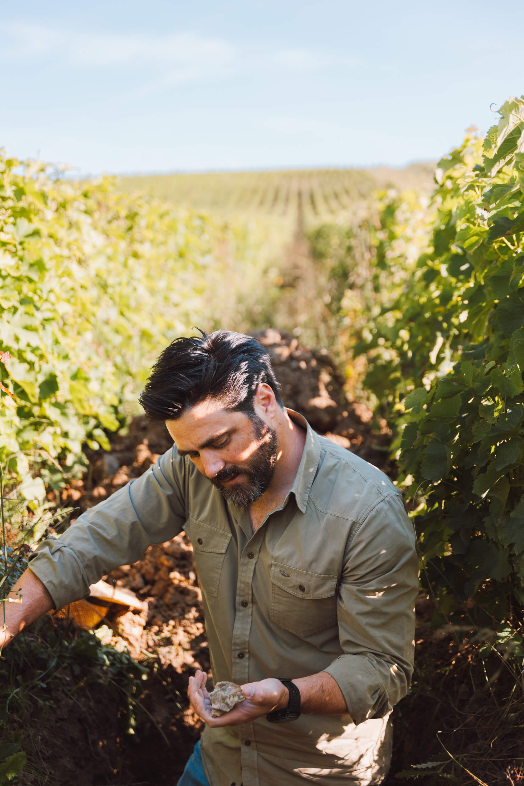 Hubert brochard - Domaine Hubert Brochard