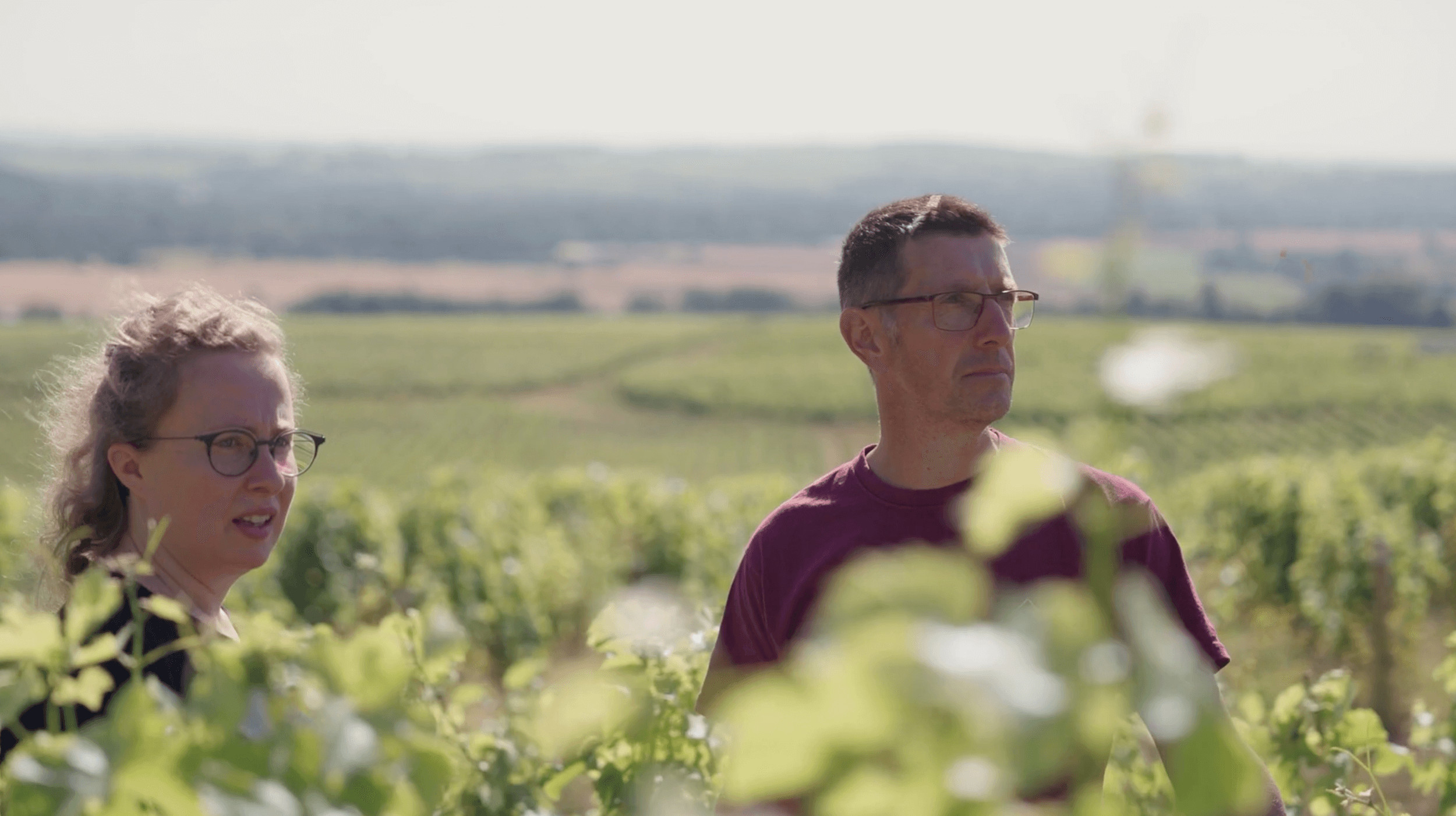 Hubert brochard - Domaine Hubert Brochard