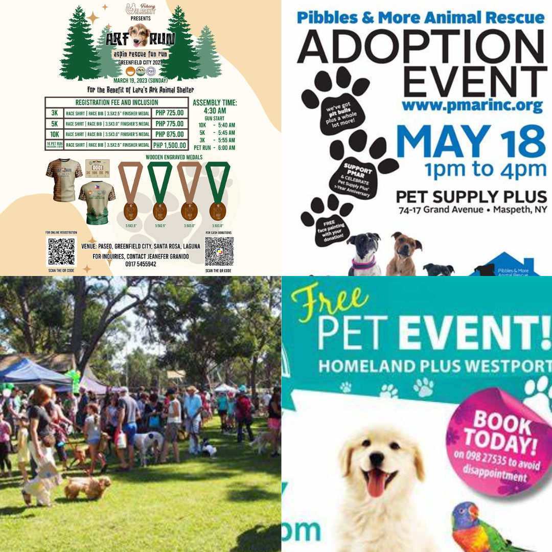 Explore Pet-Friendly Baltimore MD | Baltimore.pet Pet Directory