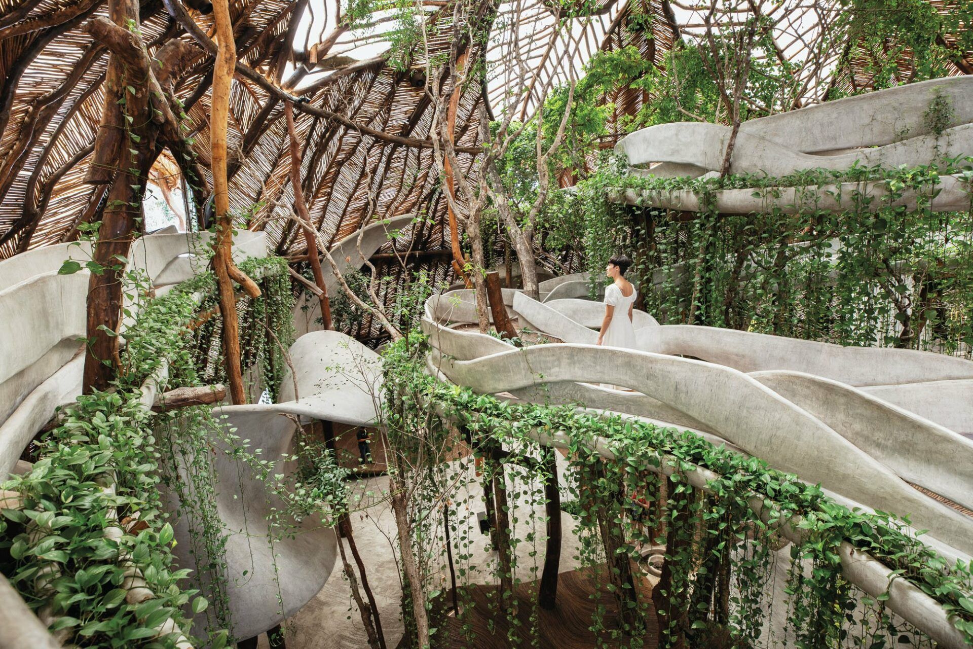 Una guida al Biophilic Design | Peverelli